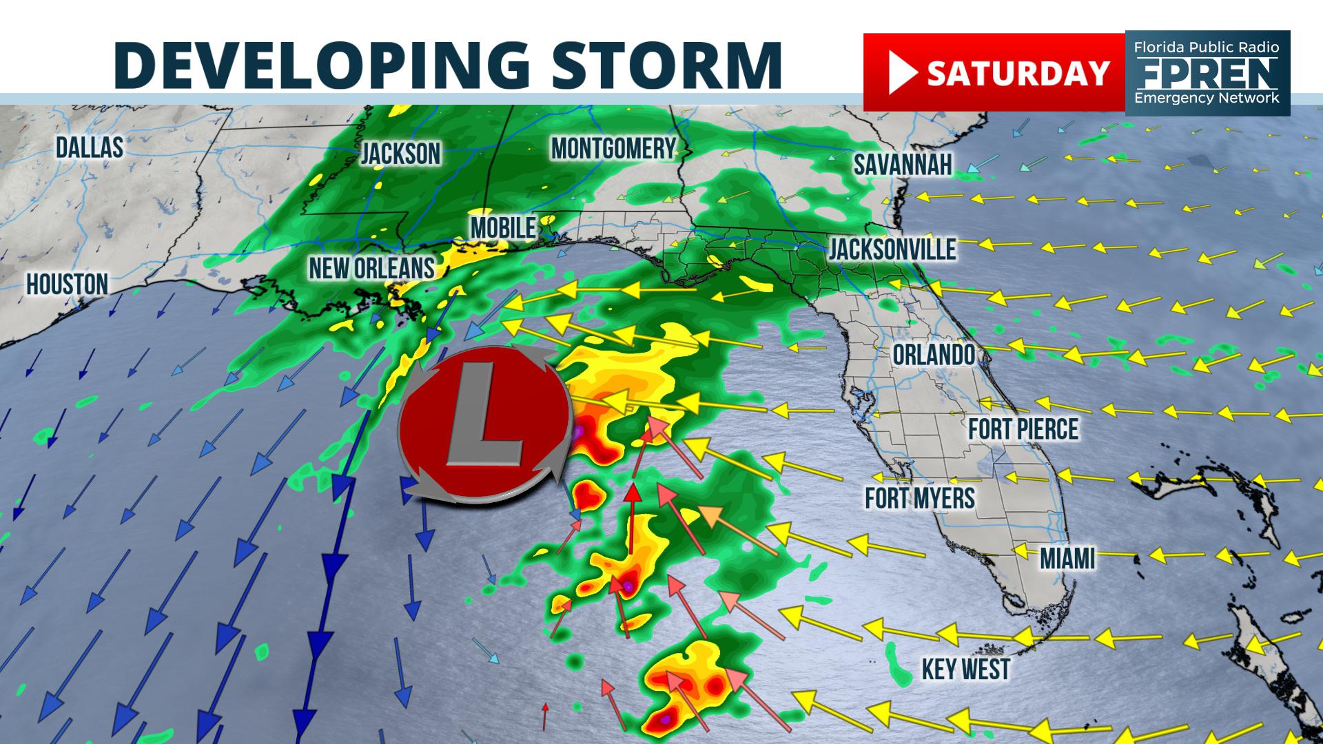Sunday Soaker: Timing and Amounts from Developing Storm | Florida Storms