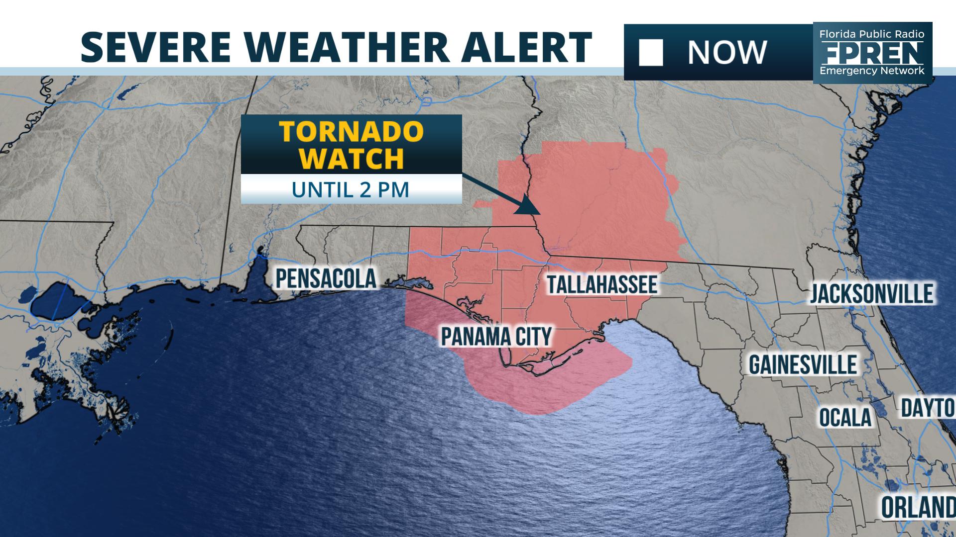 Tornado Watch until 2 PM for the Big Bend, Panhandle | Florida Storms