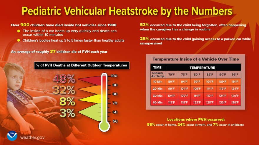 Dangerous heat in cars can be lethal to people and pets | Florida Storms