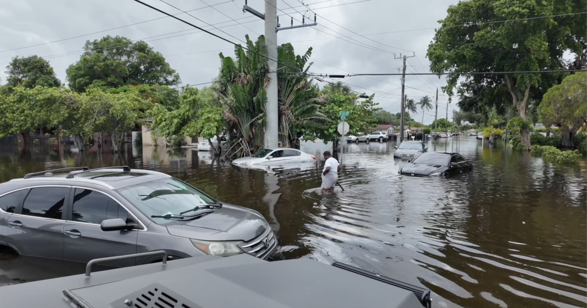 Floridians still drying out after epic record rains | Florida Storms
